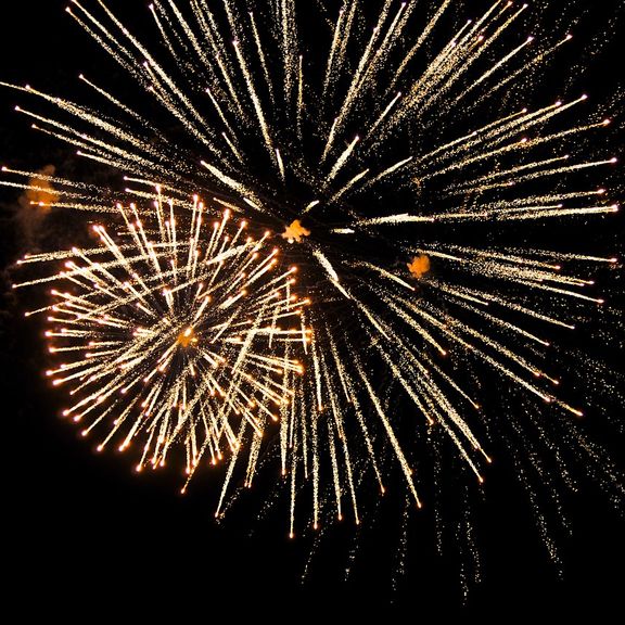 Gekke Feestdag In VS Bosmarmotten Dag