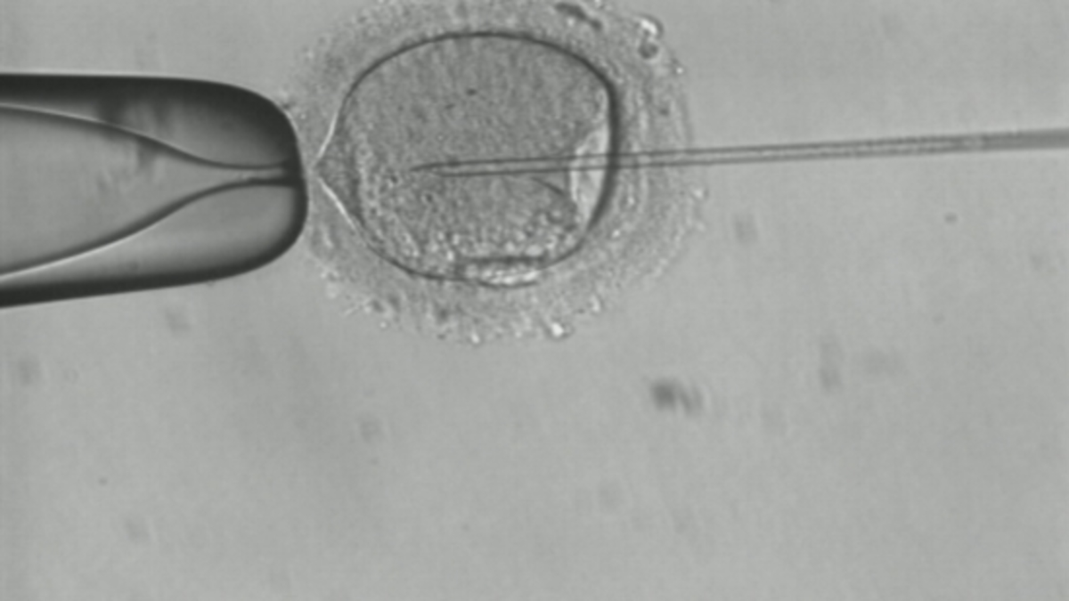 Eicellen invriezen mag