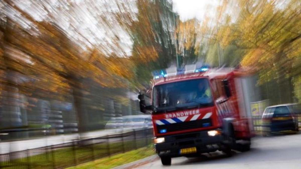 Dieren dood door brand
