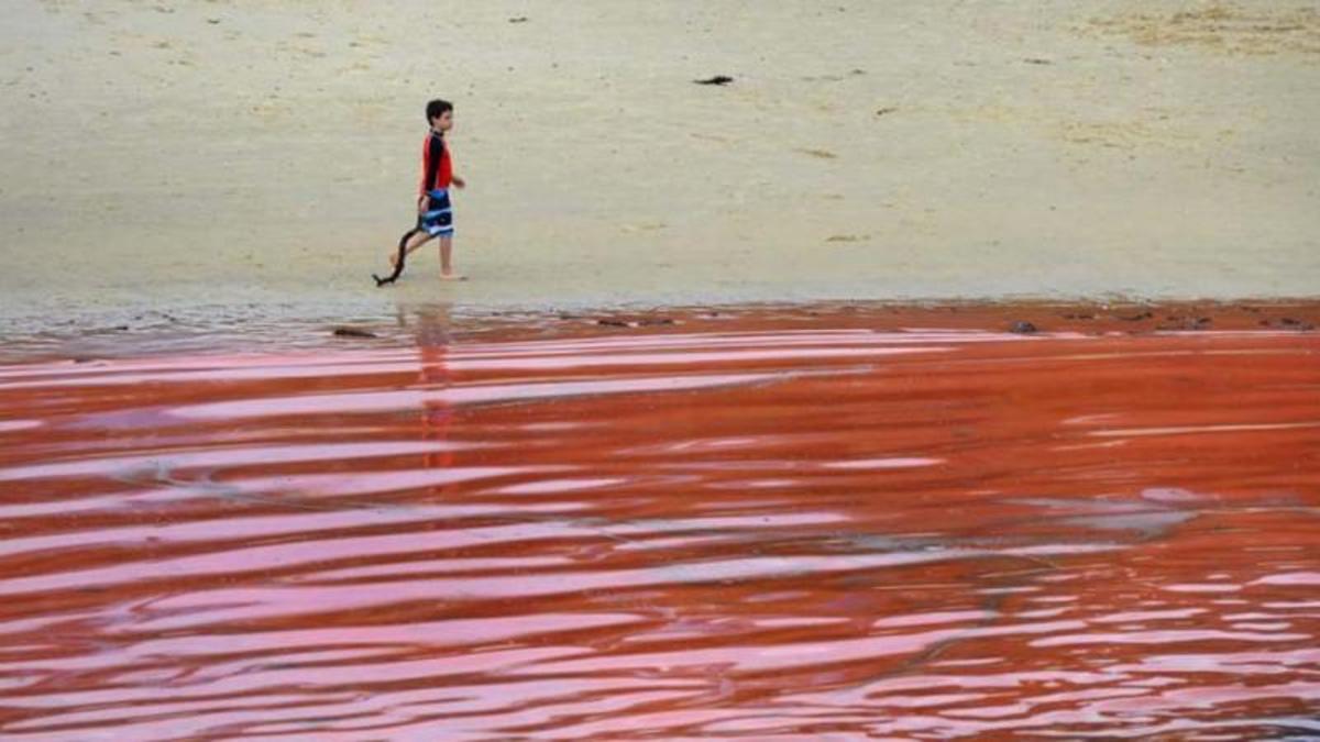 Bloedrode zee in Australië