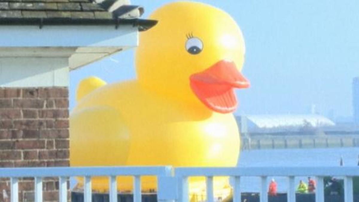 Badeend van 15 meter hoog