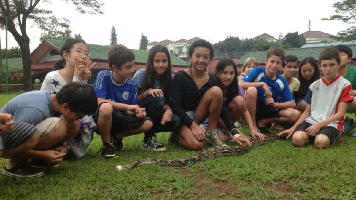 Kinderen vangen slang bij school