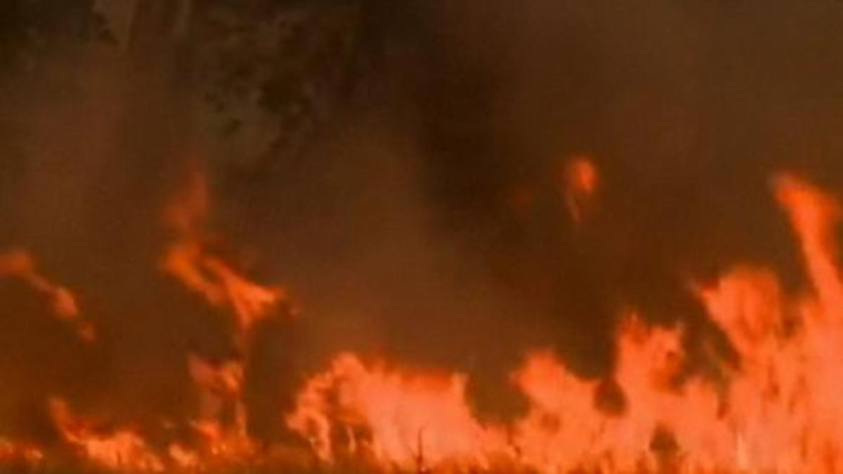 Bosbranden in Californië