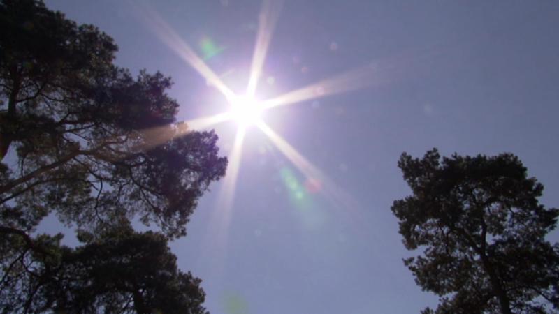 Tropisch warm in september