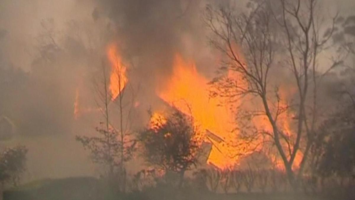 Bosbranden worden één grote bosbrand