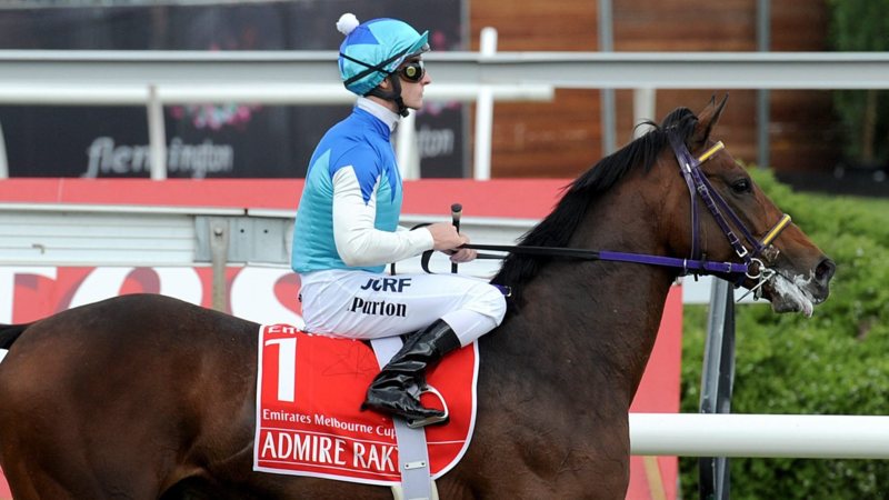 Dode paarden bij Melbourne Cup