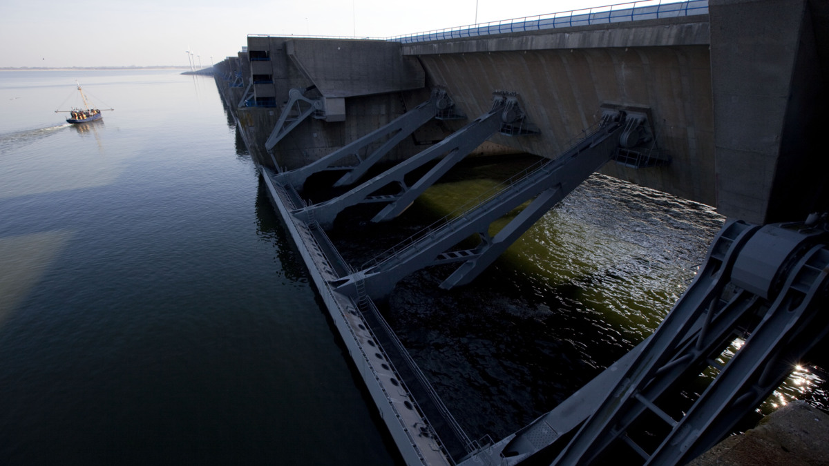 Miljoenen voor de natuur in Haringvliet