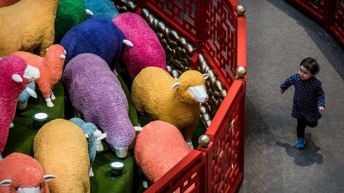 Rust bij verloskundige door Jaar van het Schaap