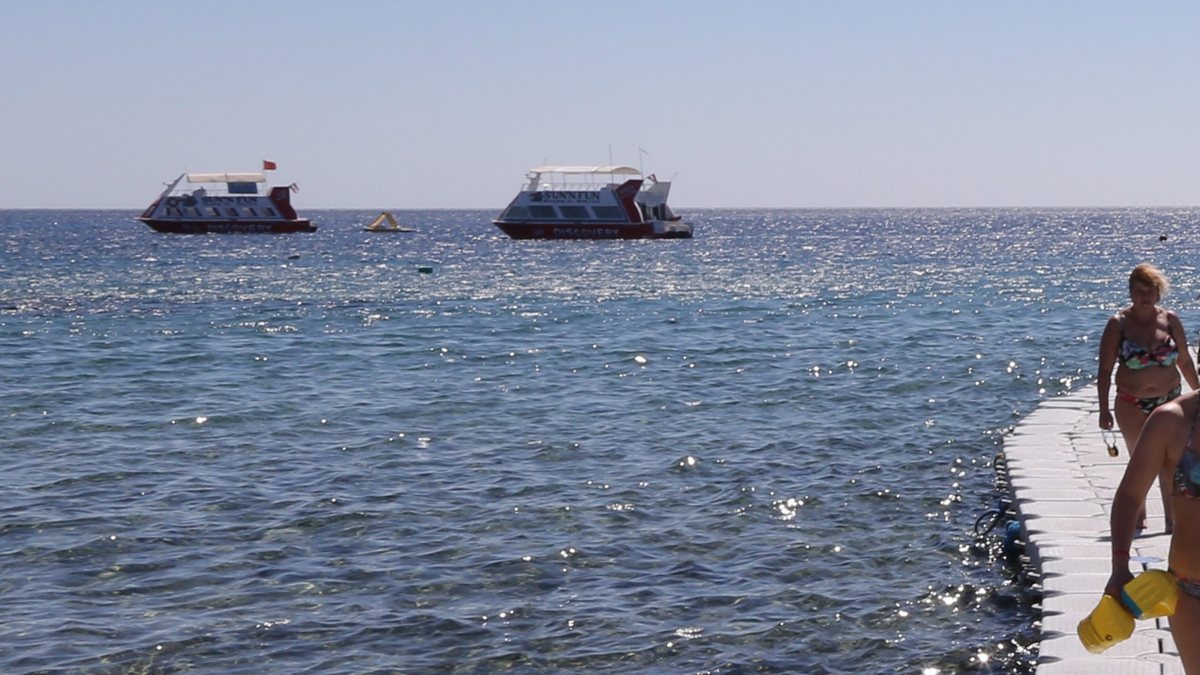 Toerist in Rode Zee doodgebeten door haai