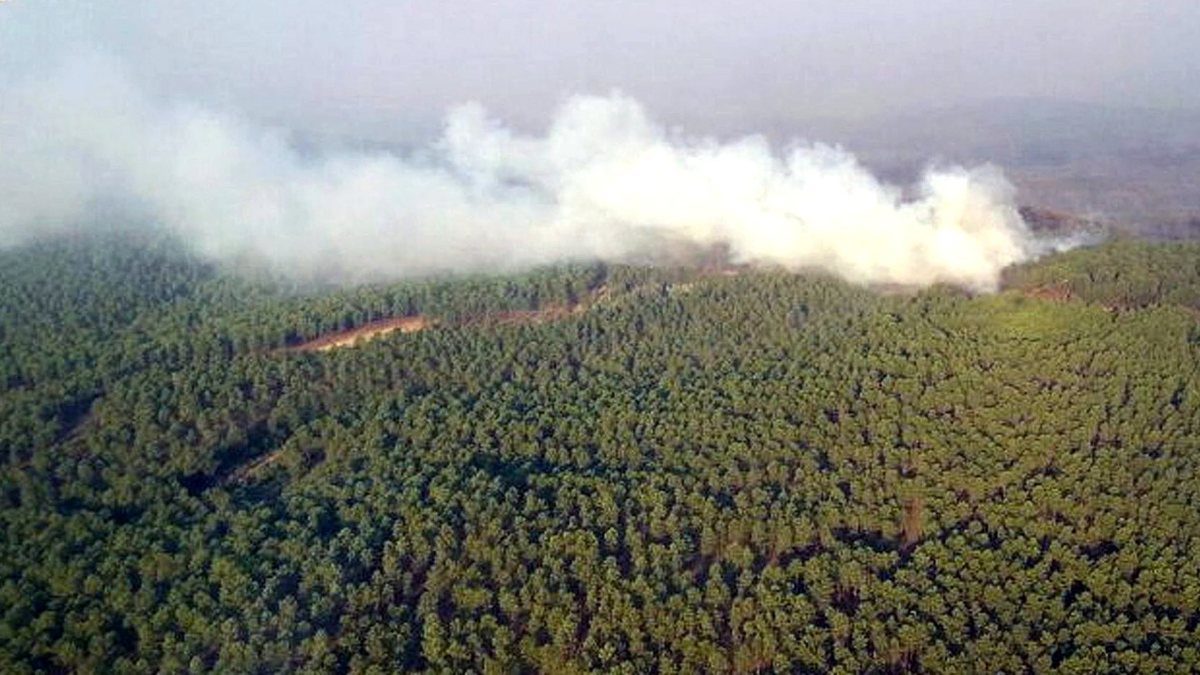 Grote bosbrand in West-Spanje