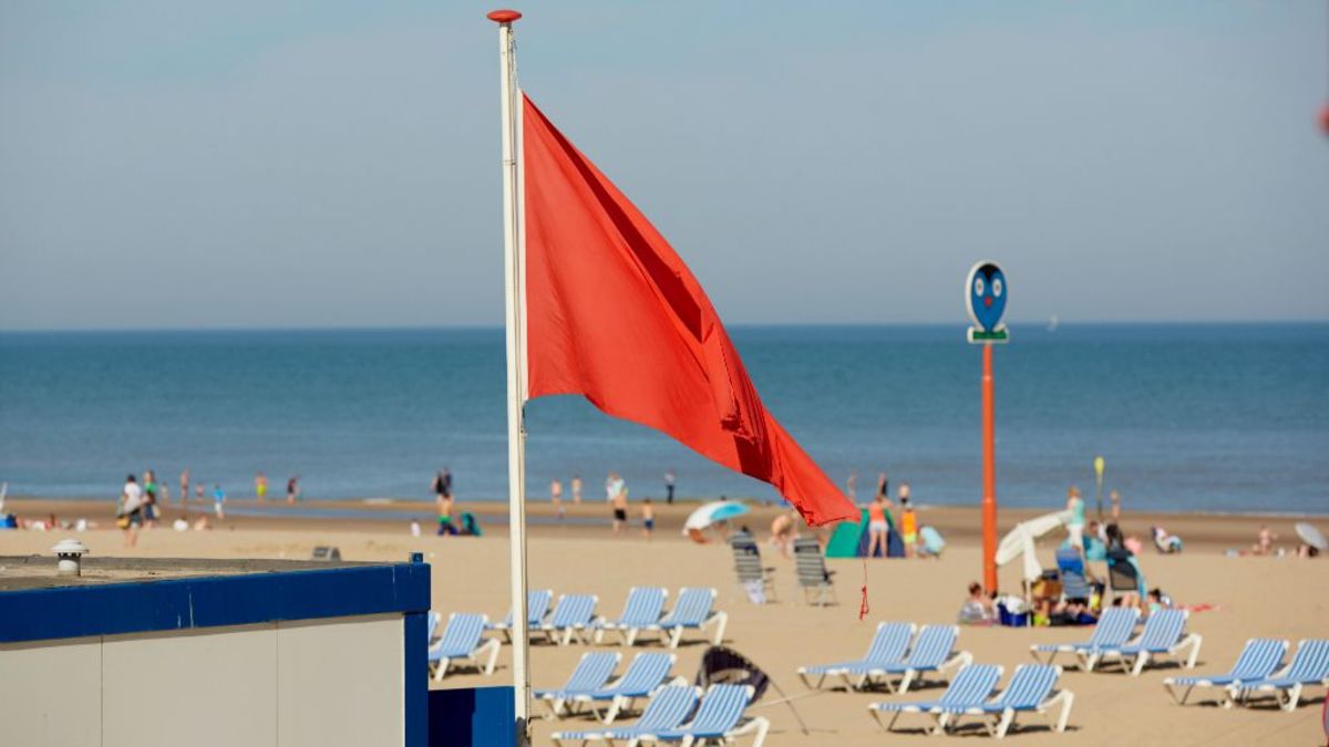 Reddingsbrigade wil meer rode vlaggen op het strand