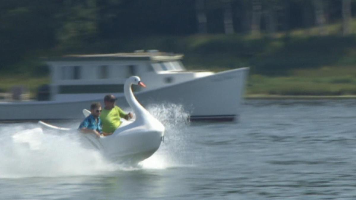 Waterfiets wordt zwanenspeedboot