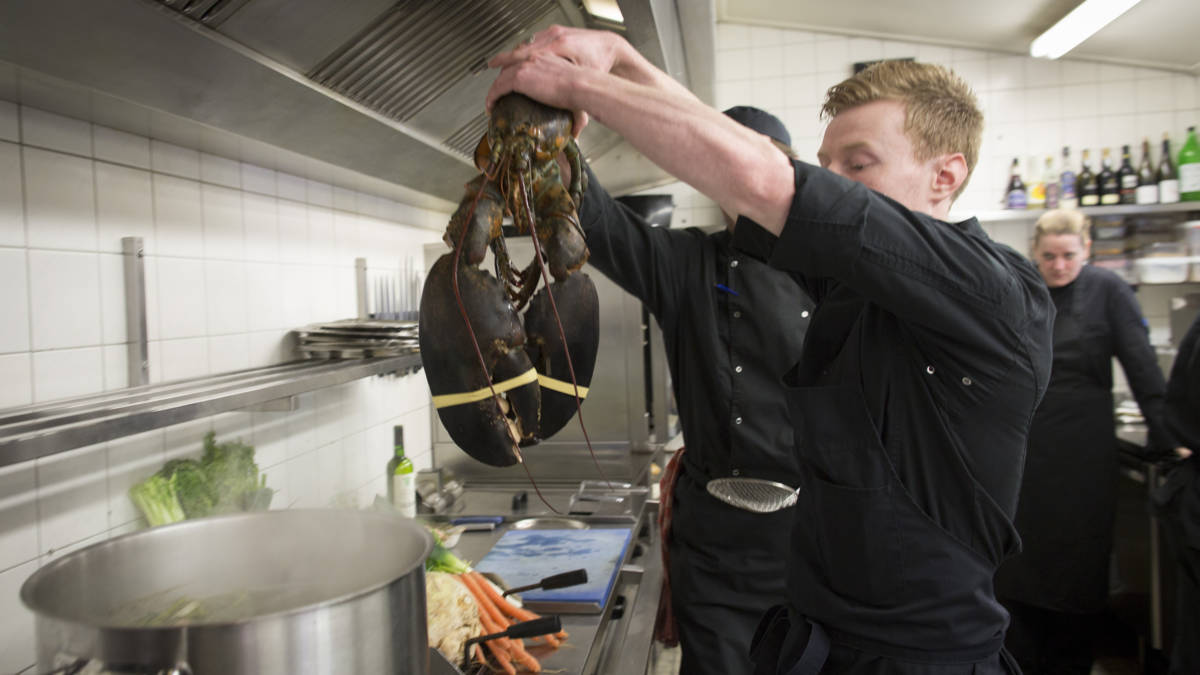 In Beeld: eetfeest met een kreeft van zes kilo