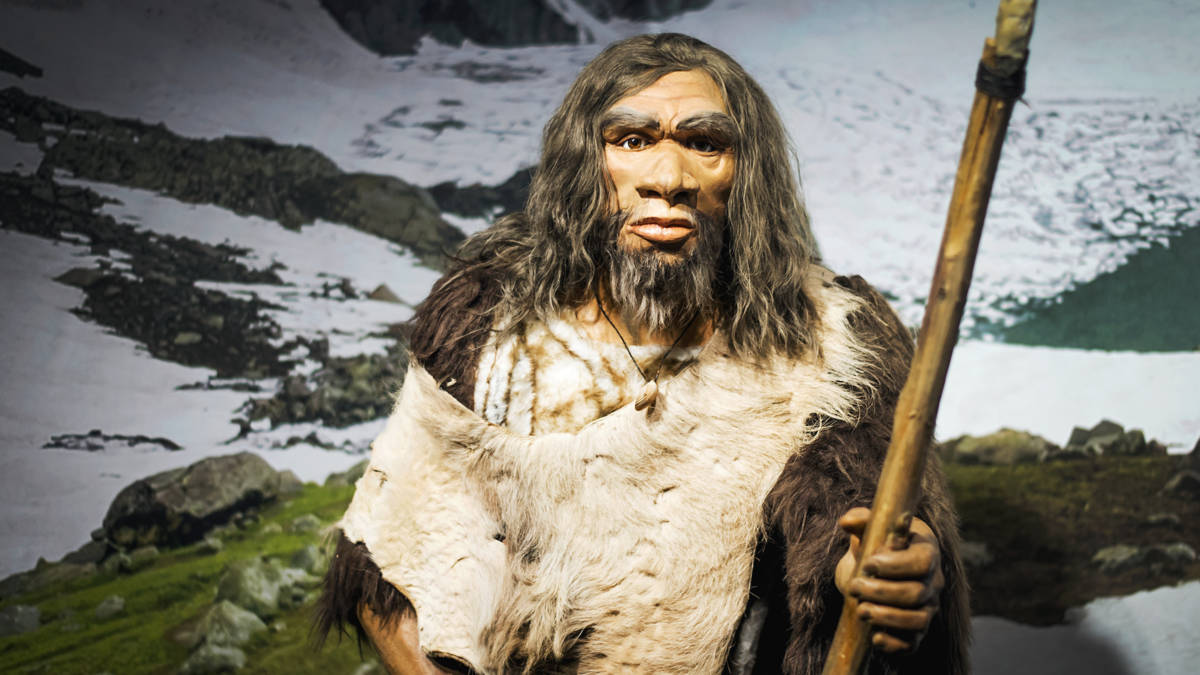 Waar is het Y-chromosoom van de neanderthaler gebleven?