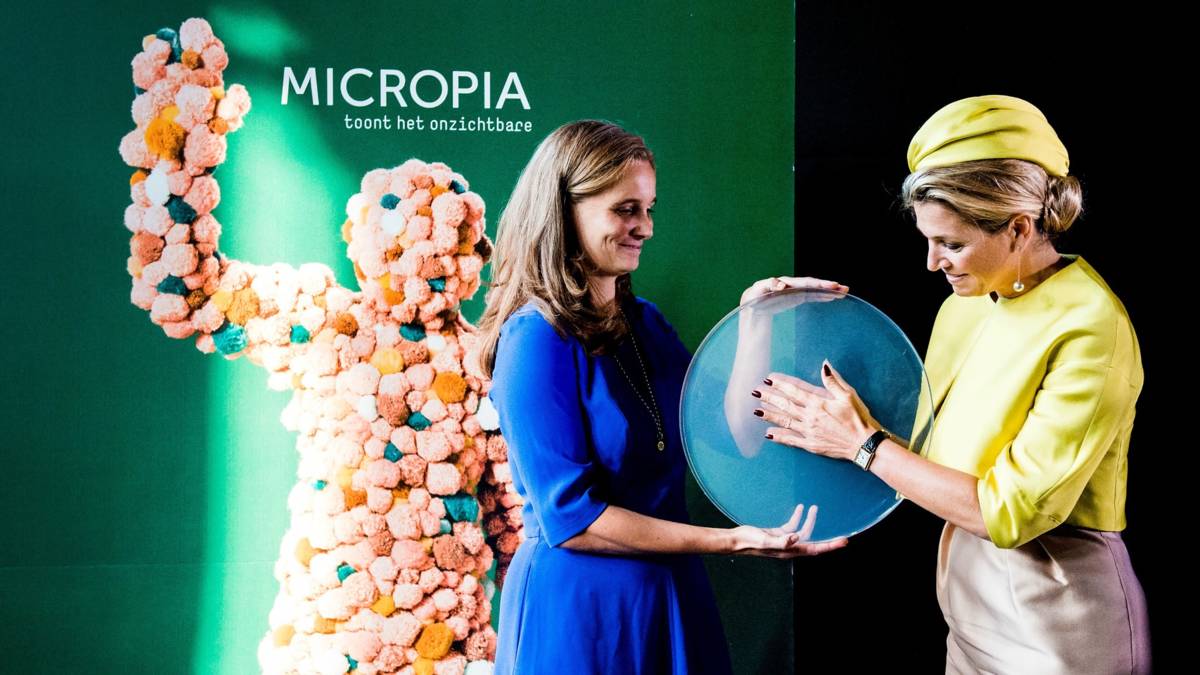 Micropia Amsterdam is meest innovatieve museum van Europa