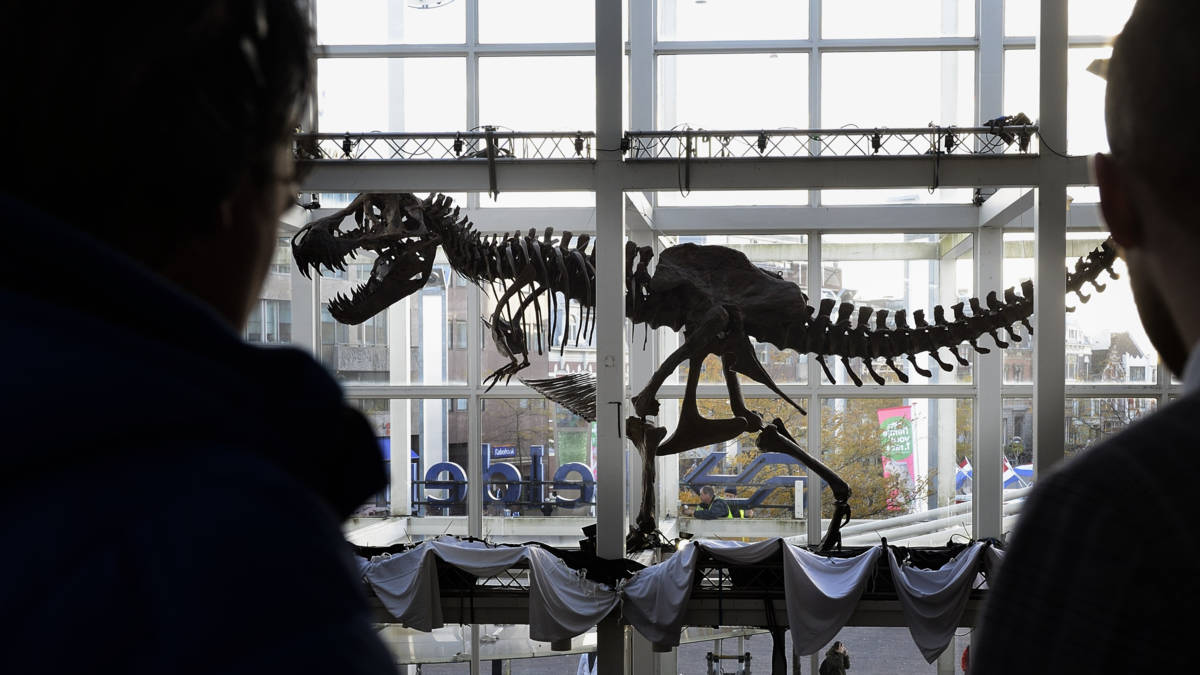 T. rex Naturalis vernoemd naar Beatrix