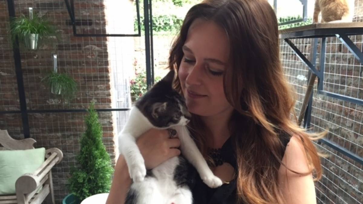Populaire poezen en knuffelende katten: het kattencafé rukt op