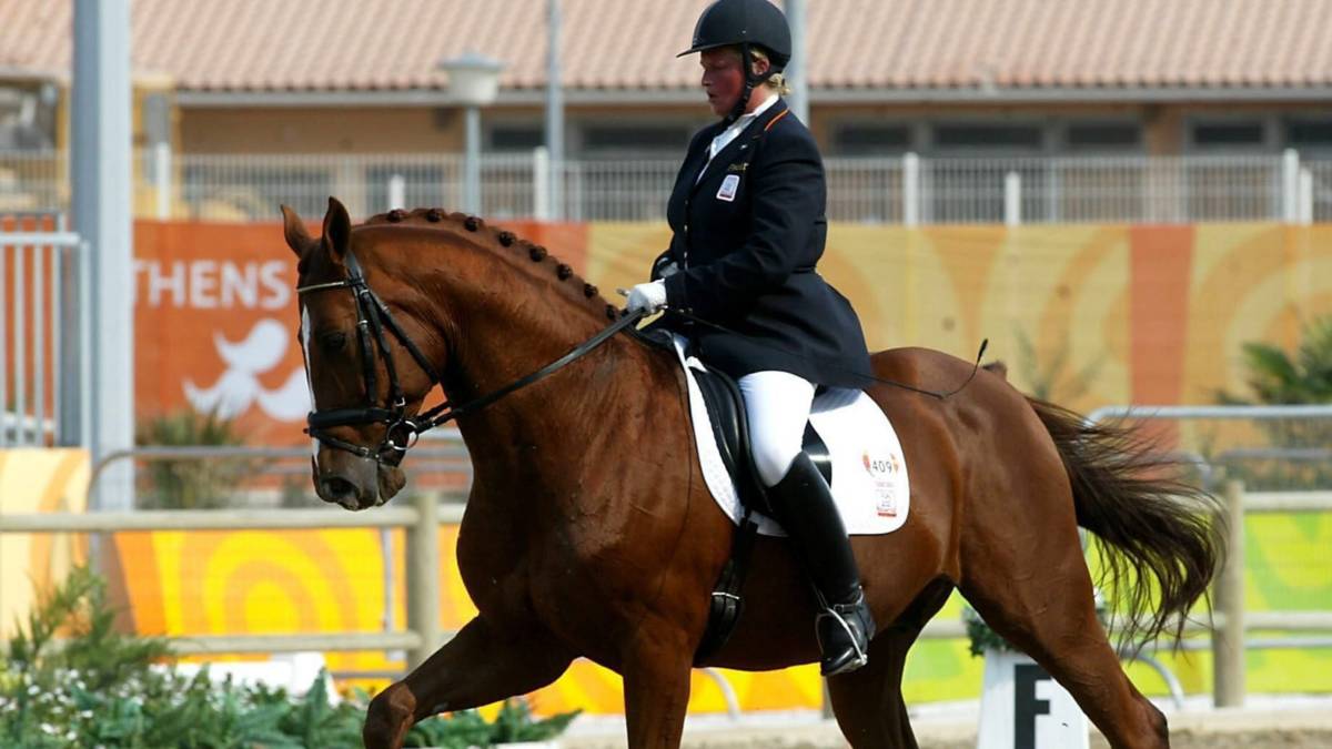 Meer over paardensport
