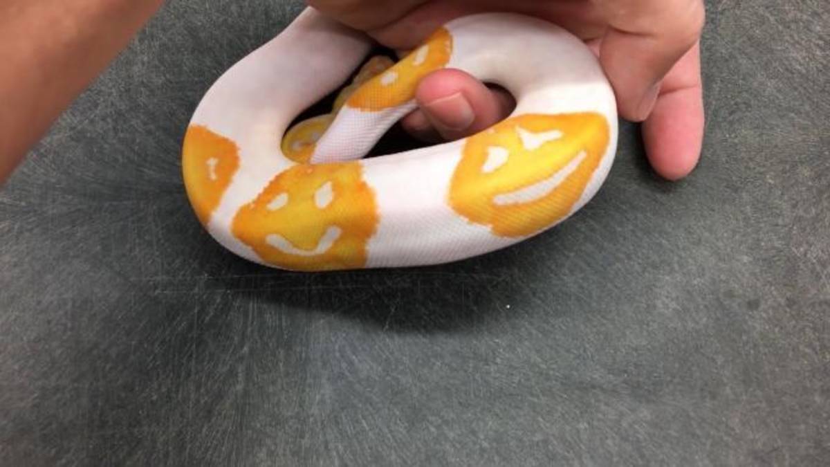 Deze slang heeft een huid van smileys