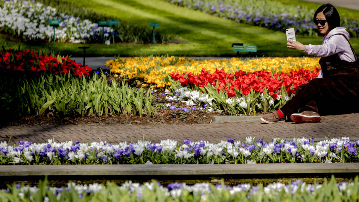 Prachtig weer: de eerste 20 graden van 2017