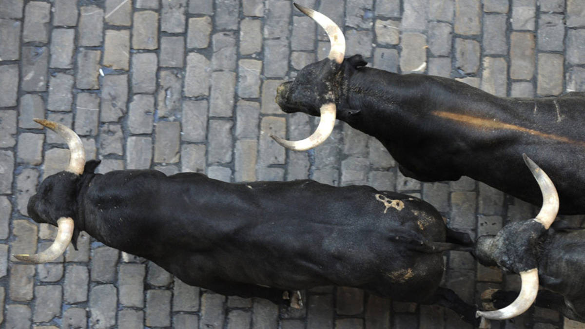 Stier doodt gestruikelde stierenvechter