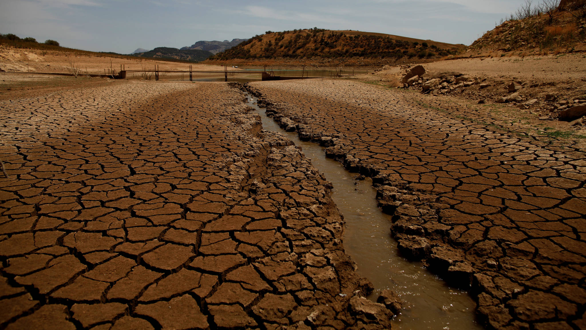 In beeld: Spaanse oogsten mislukken door extreme droogte | NOS