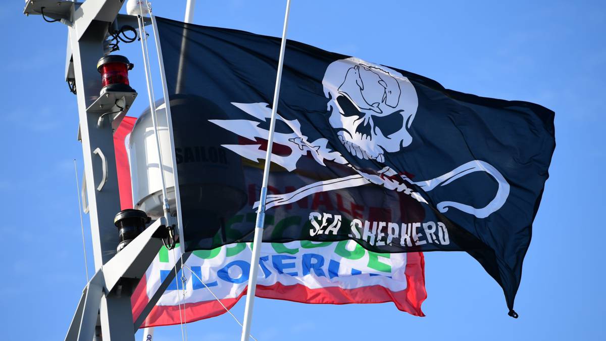 Sea Shepherd geeft jacht tegen Japanse walvisvloot op zee op