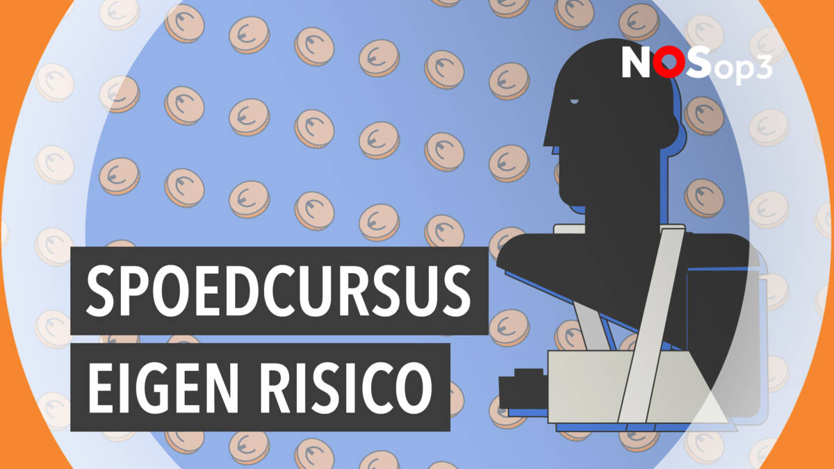 Eigen risico voor dummies