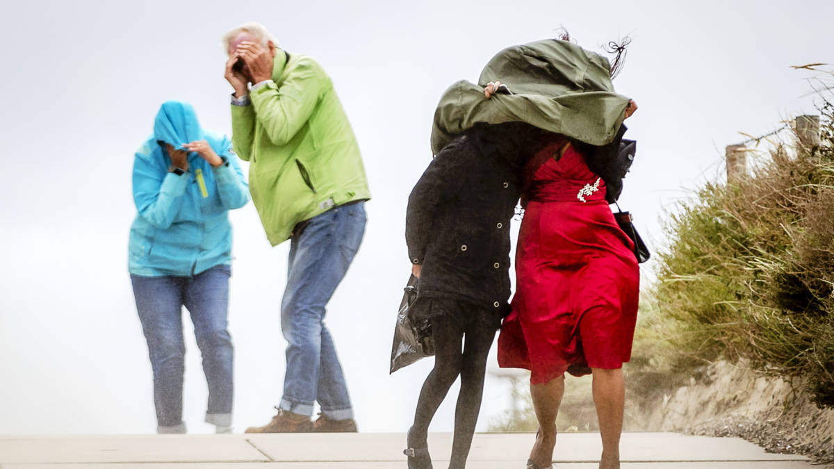 Harde wind en omgewaaide bomen door eerste storm