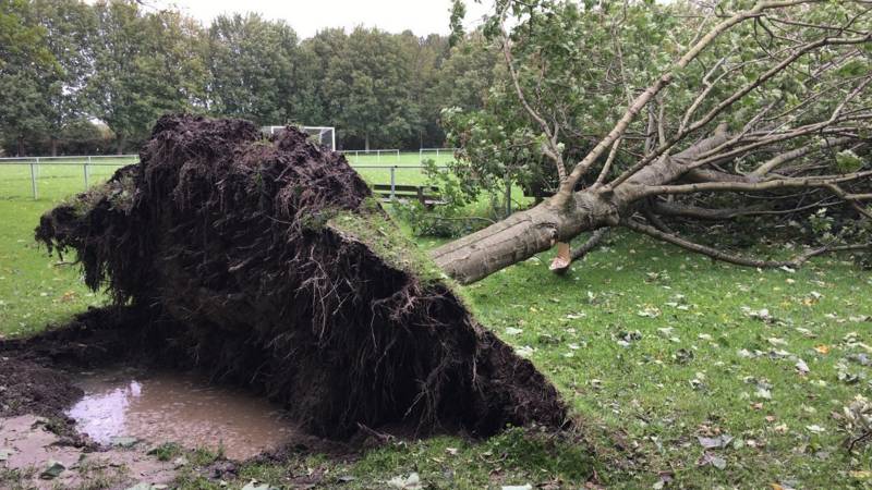 Harde wind en omgewaaide bomen door eerste storm