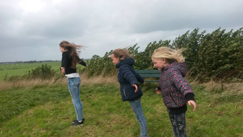 Harde wind en omgewaaide bomen door eerste storm