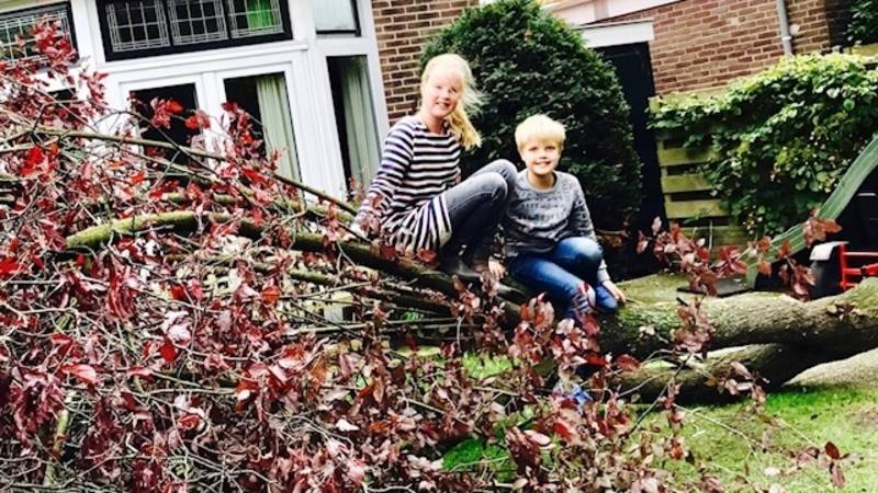 Harde wind en omgewaaide bomen door eerste storm