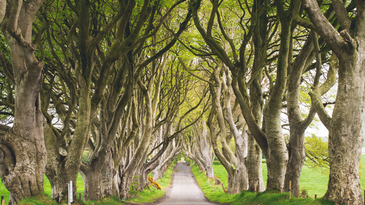 Straat uit tv-serie te druk door fans