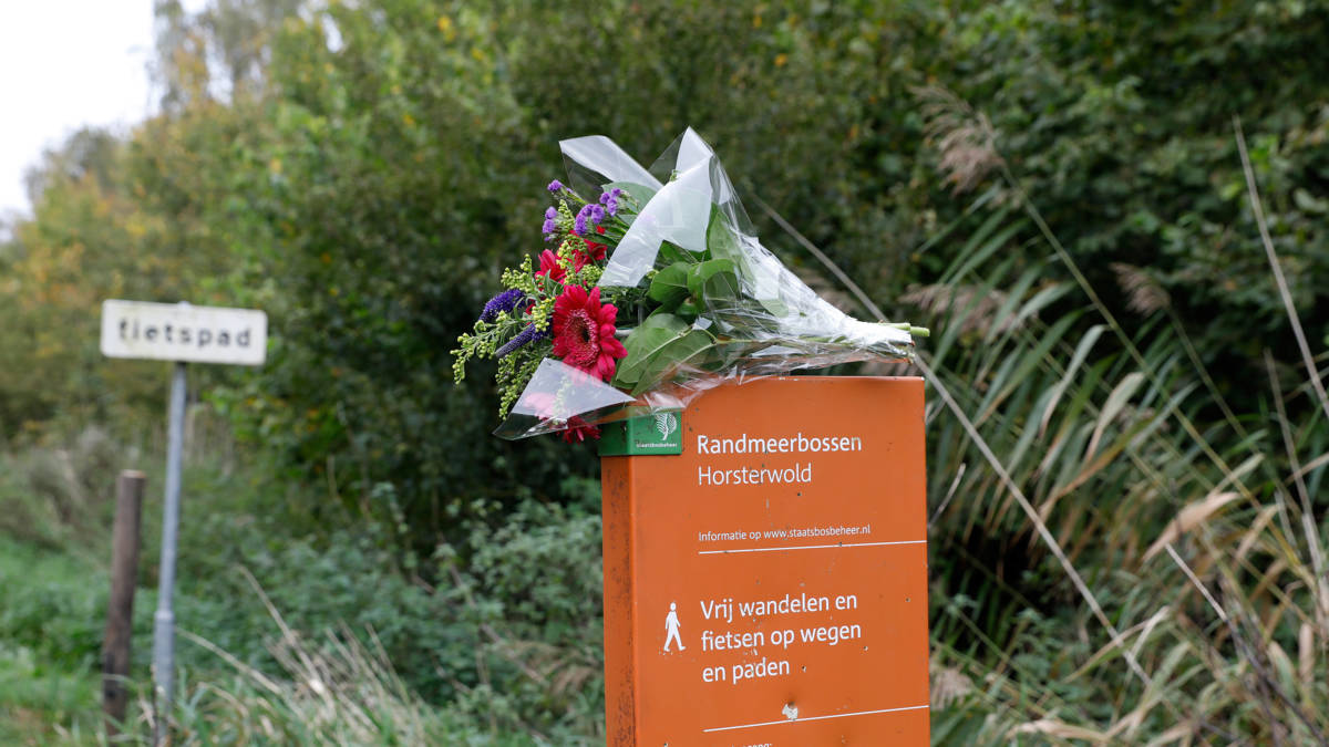 Michael P. verdacht van moord of doodslag plus verkrachting Anne Faber