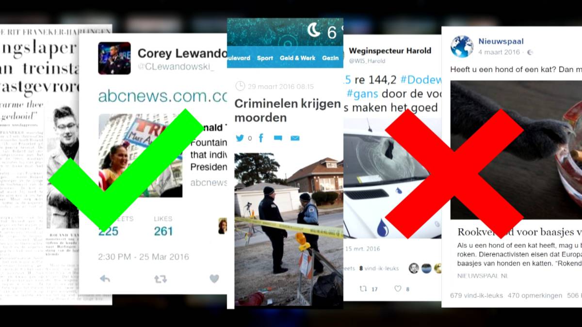 Campagne tegen nepnieuws bij verkiezingen volgend jaar