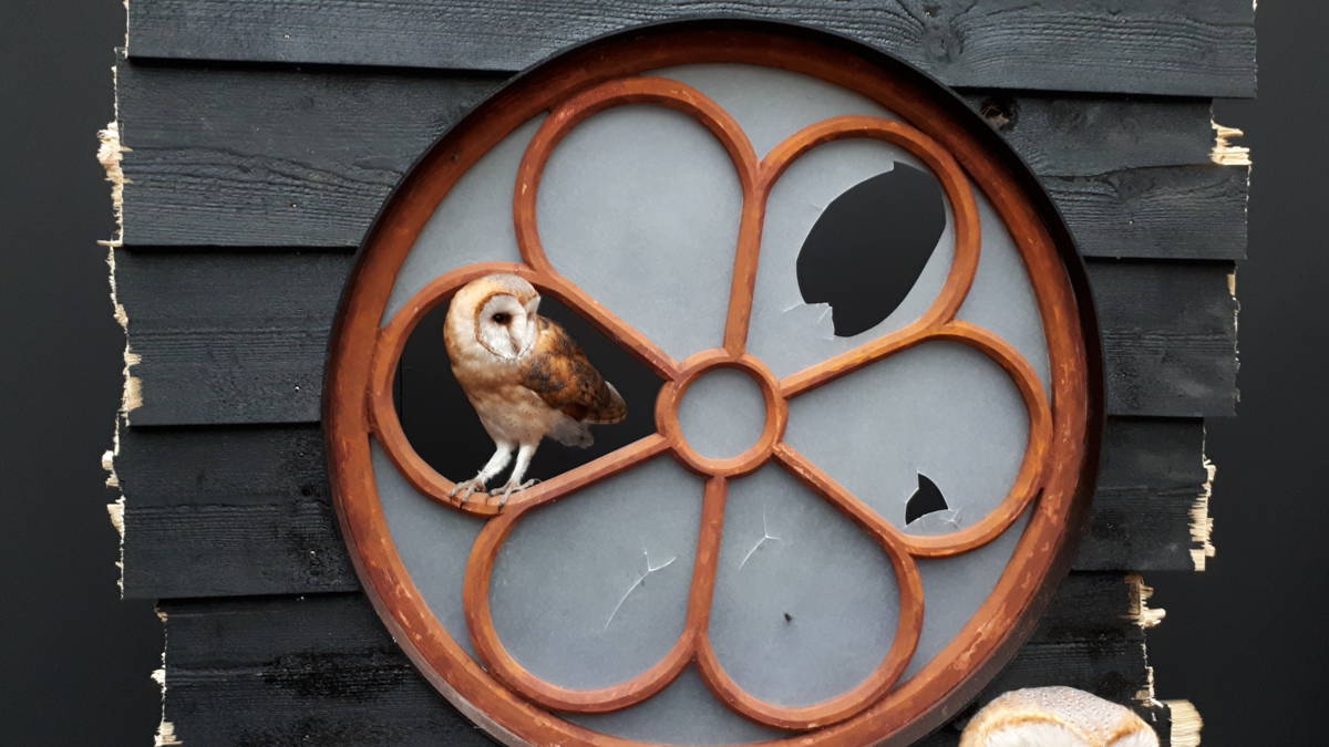 Priegelen op het NK Prepareren: 'Een dood dier in je interieur is hip'