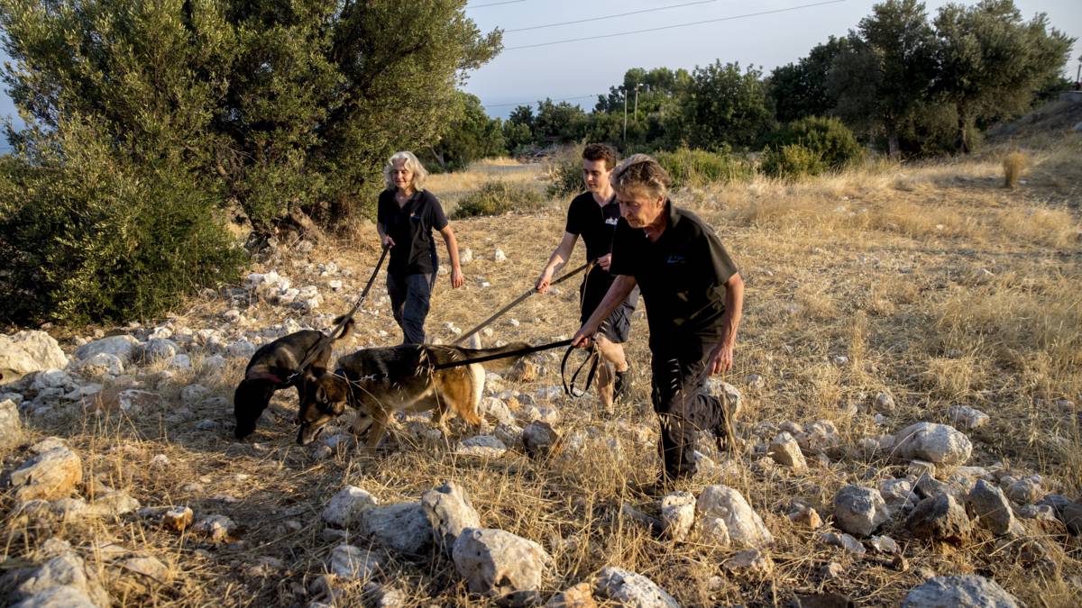 'Duizend keer bedreigd op Facebook', zegt reisgenoot Joey Hoffmann