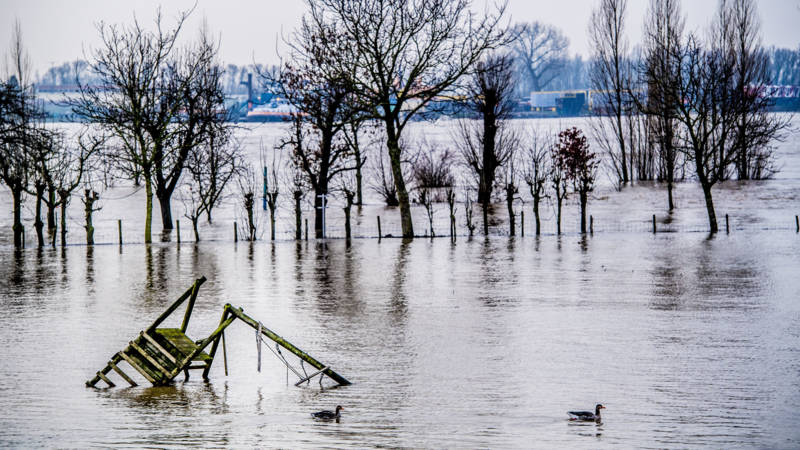 Water in de Rijn op hoogste punt