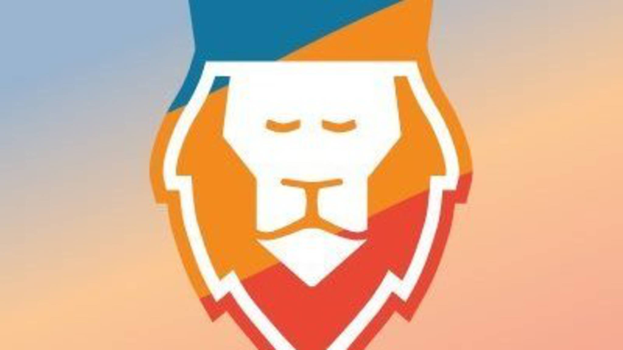 De Nederlandse Leeuw presenteert uitkomsten debat, voorzitter stapt op ...