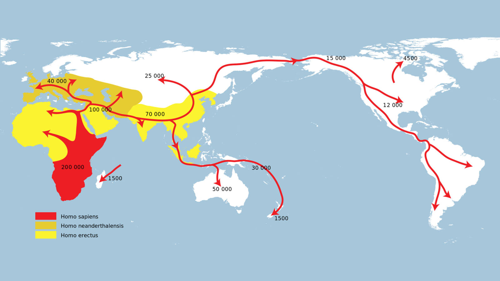 Grottenkunst toont: neanderthalers veel minder primitief dan gedacht | NOS