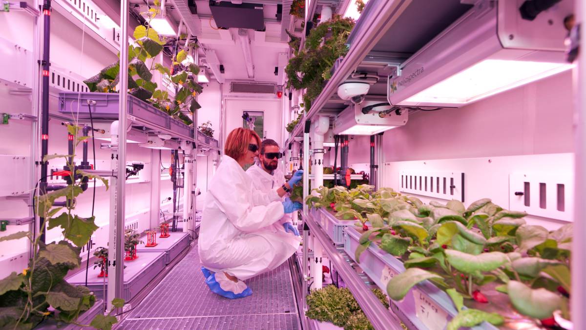 Eerste Zuidpoolgroenten tonen toekomst ruimte-eten