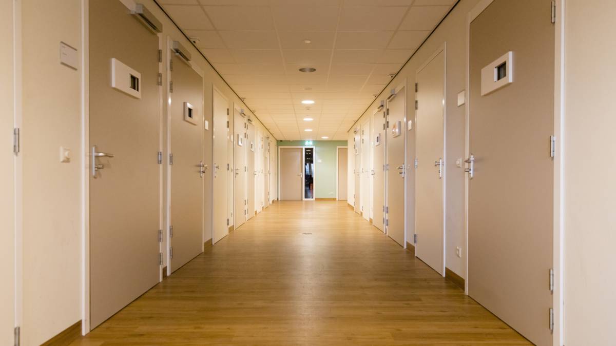 Hoe zijn we op het punt gekomen dat verward persoon ons verwart?