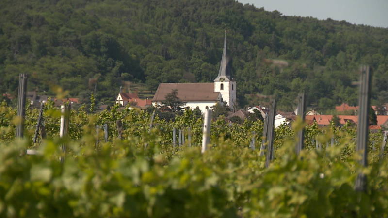 Nieuwe rechtse beweging wil terugkeer naar oude Duitse waarden