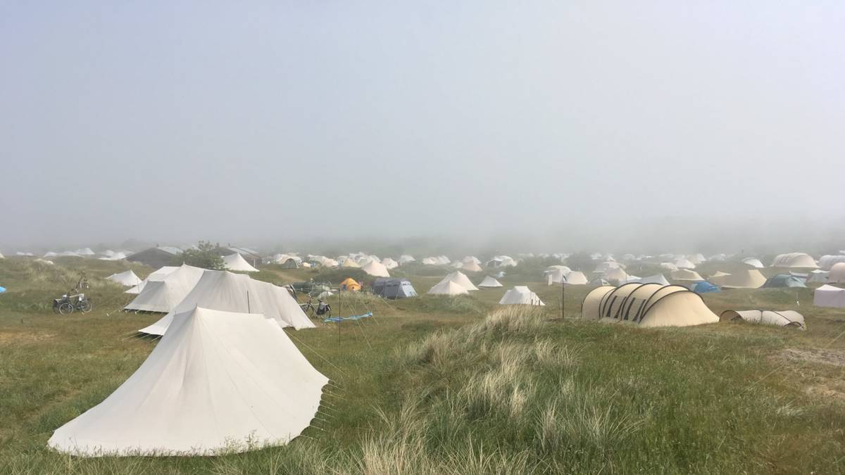 Tegenvaller voor strandgangers: zeevlam verpest zonnige dag