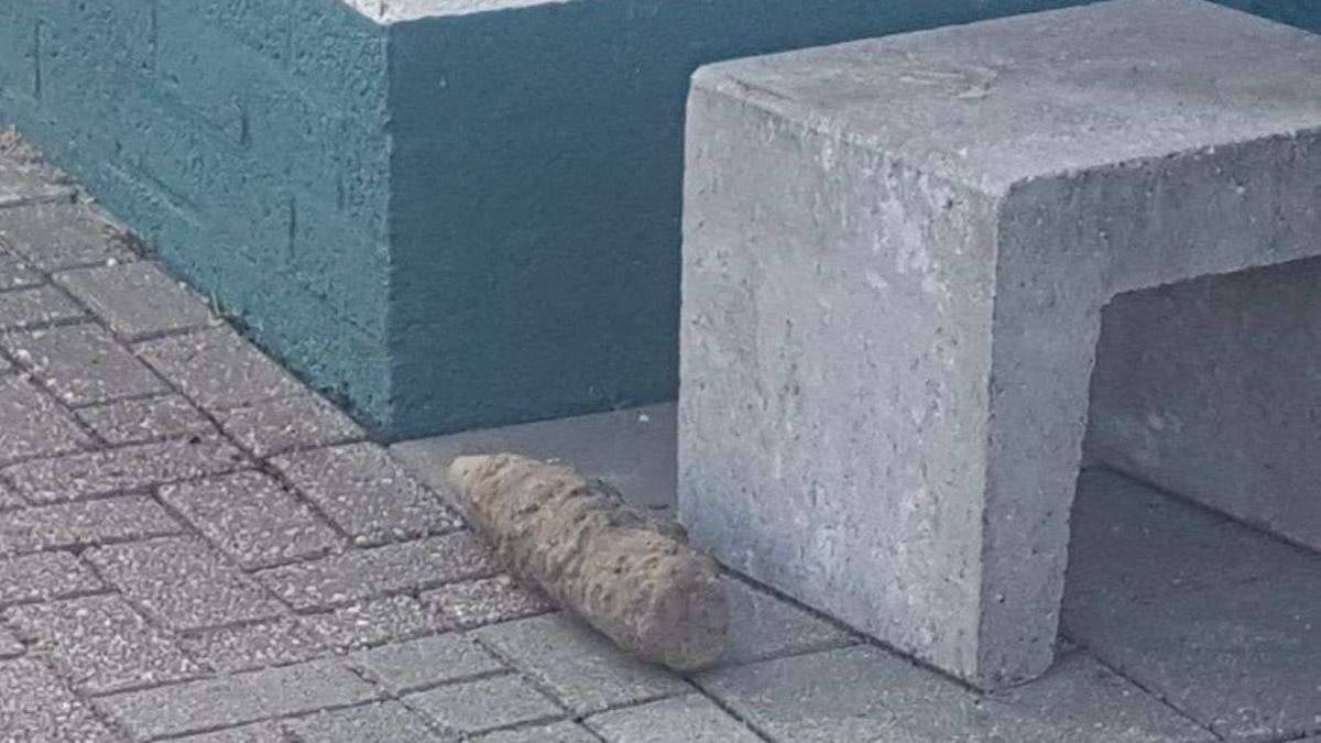 Kinderen leveren oud explosief in bij balie Roermondse jachthaven