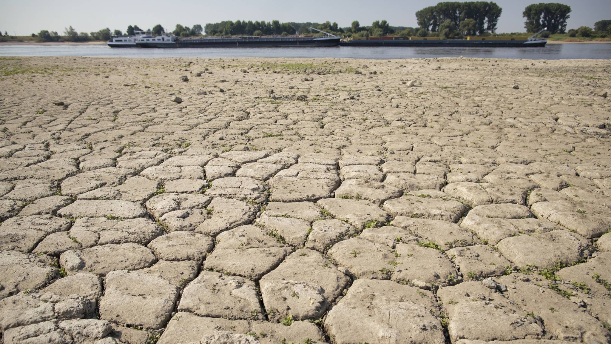Schijn bedriegt: droogte nog steeds groot probleem | NOS