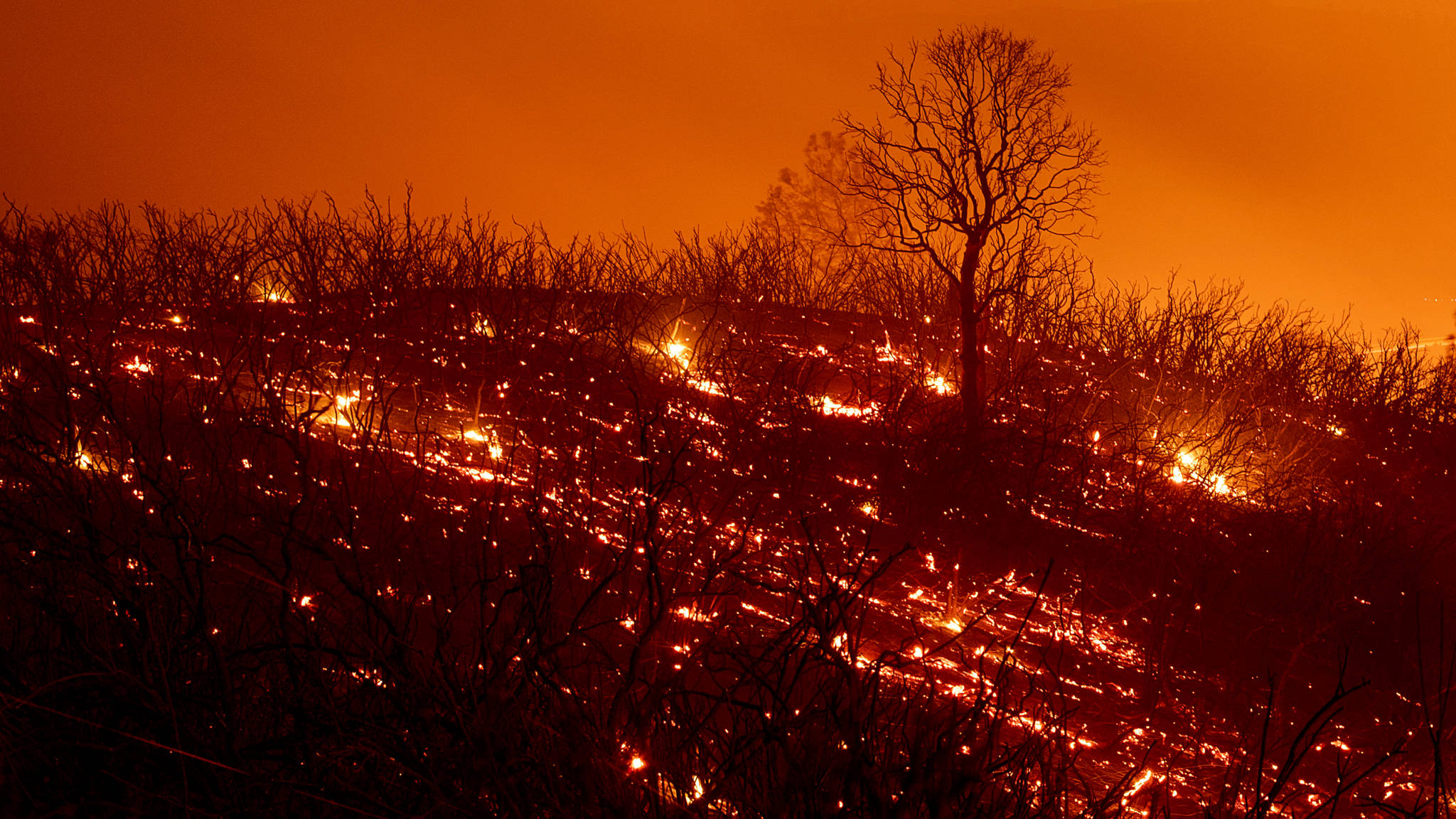 Californië vecht tegen grootste bosbranden ooit in de staat | NOS