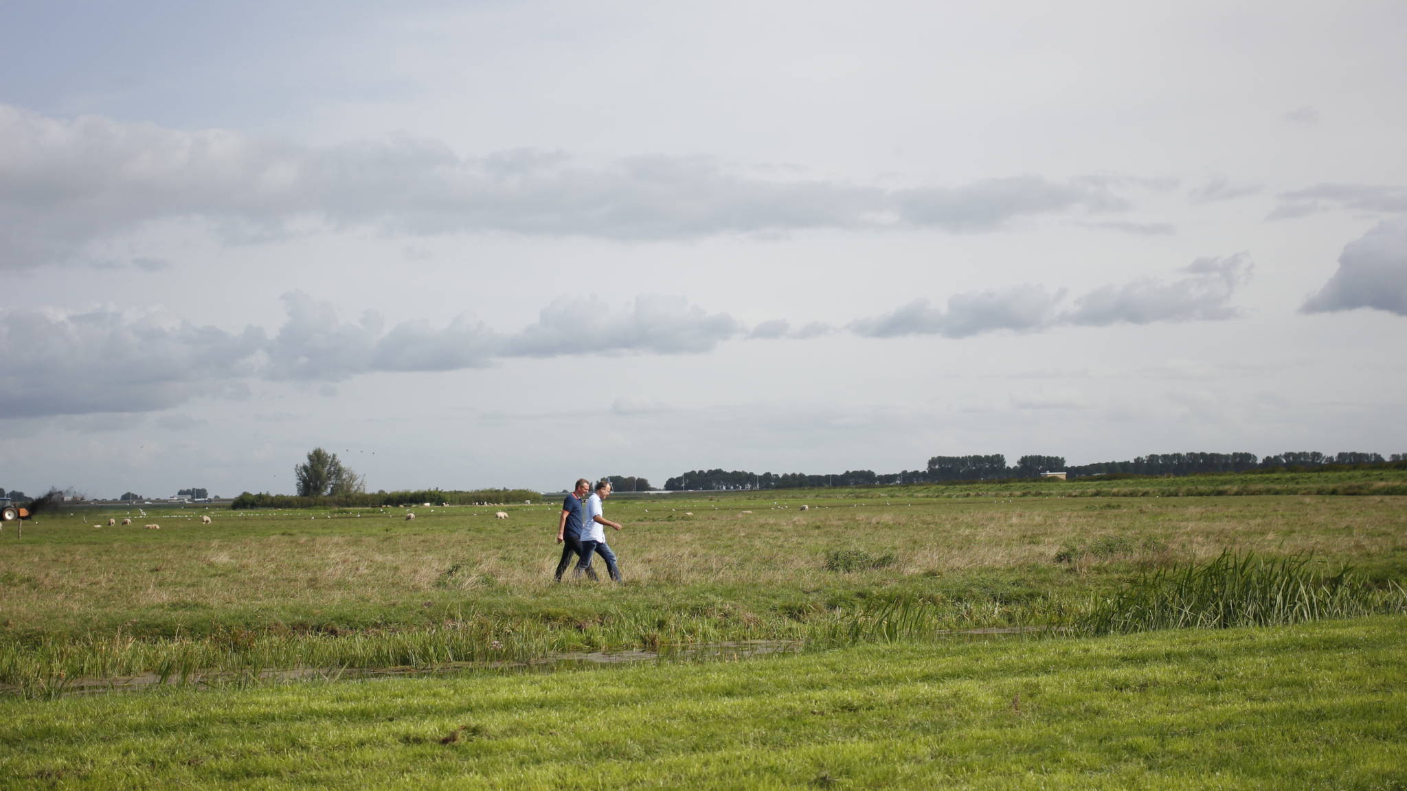 1 Hectare Is Hoeveel Vierkante Meter Hoeveel Hectare Is 8 Vierkante 1 Hectare Is Hoeveel Vierkante Meter Hoeveel Hectare Is 8 Vierkante
