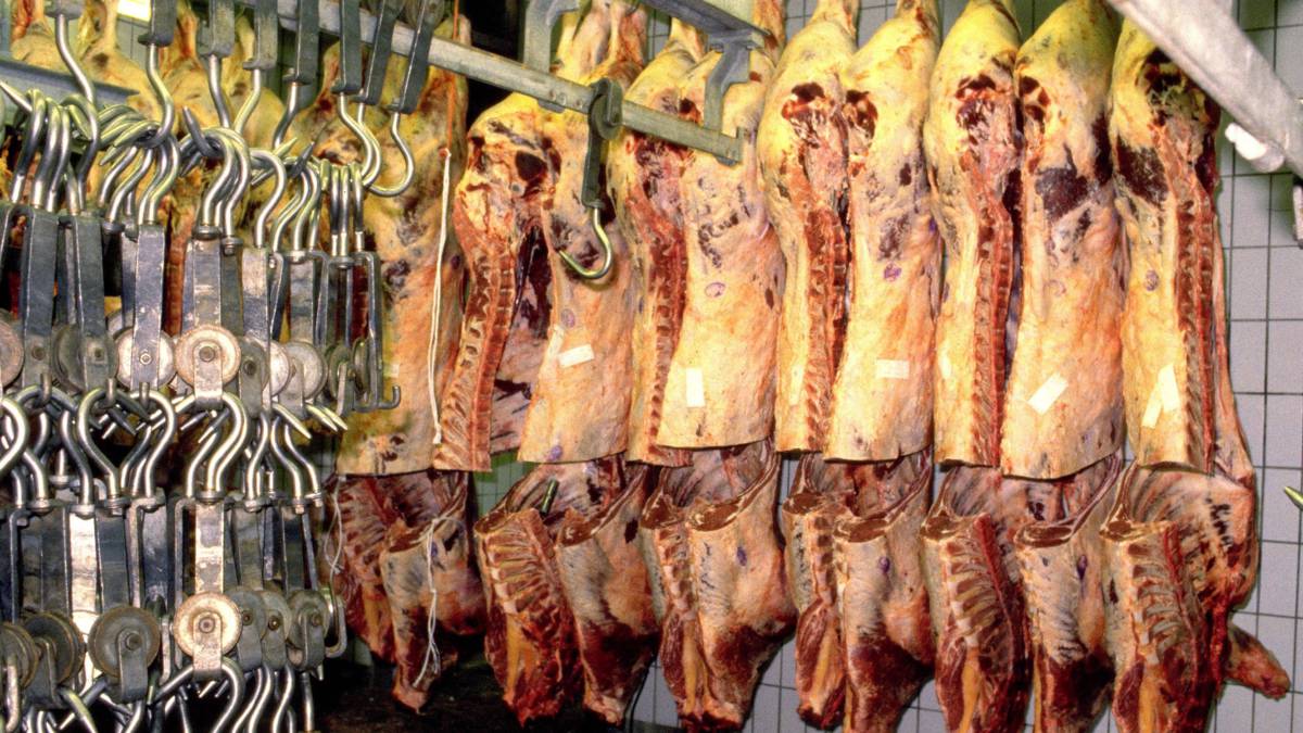 Schouten wil meer cameratoezicht bij slachthuizen