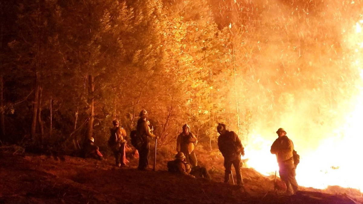 Bosbranden in Amerika eindelijk onder controle